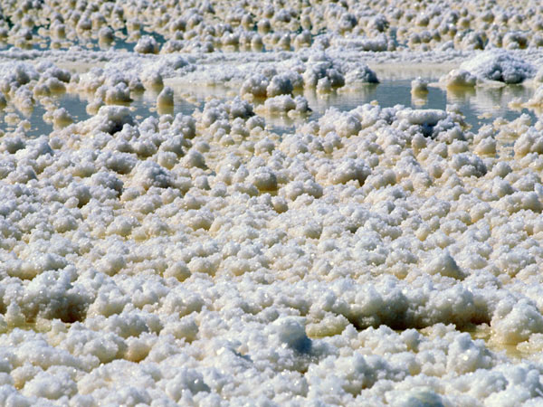 Salt Fields | Abigail O'Brien | Contemporary Art Installation