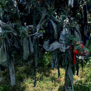 The Rag Tree Series | Abigail O'Brien | Contemporary Installment