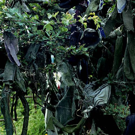 The Rag Tree Series | Abigail O'Brien | Contemporary Installment